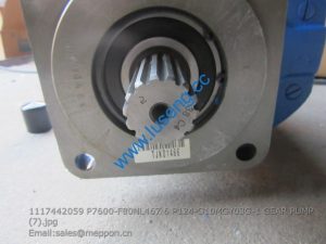 1117442059 P7600-F80NL467 6/P124-G10MGY03G-1 GEAR PUMP W066800000 ...