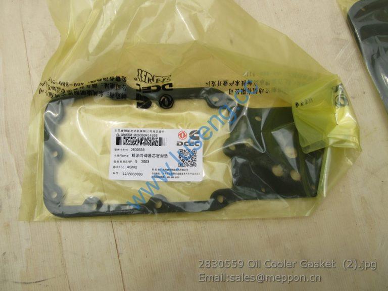 A3921393 4bta3.9-G2 head gasket 3921393 cummins – Luseng Co., Ltd