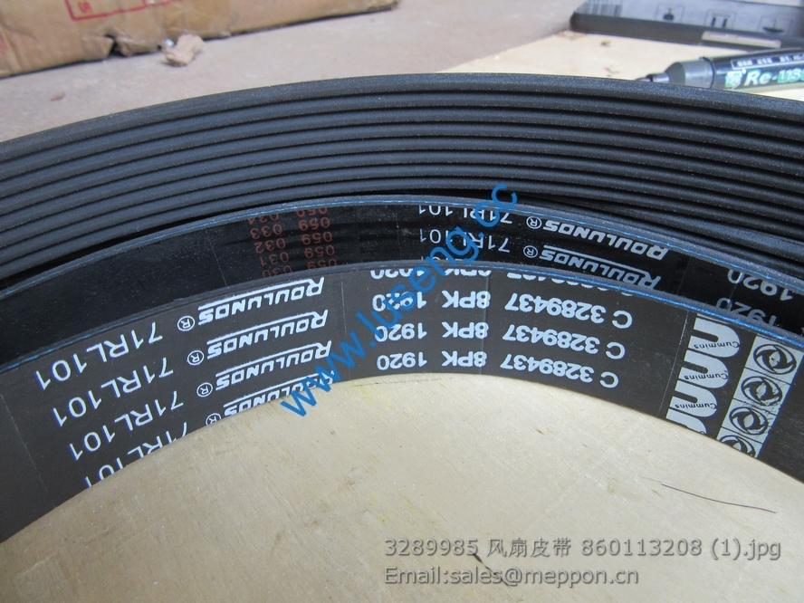 3289985 fan belt cummins 860113208 – Luseng Co., Ltd