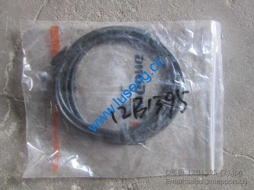 12B1395 LIUGONG O RING – Luseng Co., Ltd