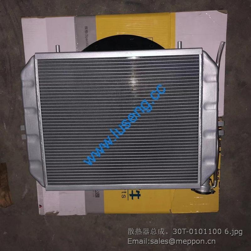 30T-0101100 radiator assembly 30001016303 LG20DTIII-35DTIII lonking ...