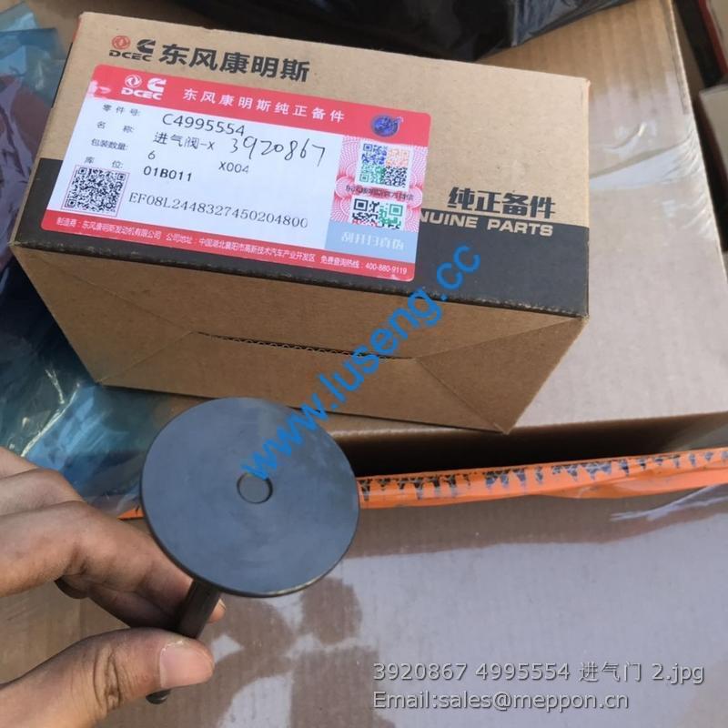 3920867 4995554 CUMMINS VALVE INTAKE 860109657 SP109425 4110000555060 ...