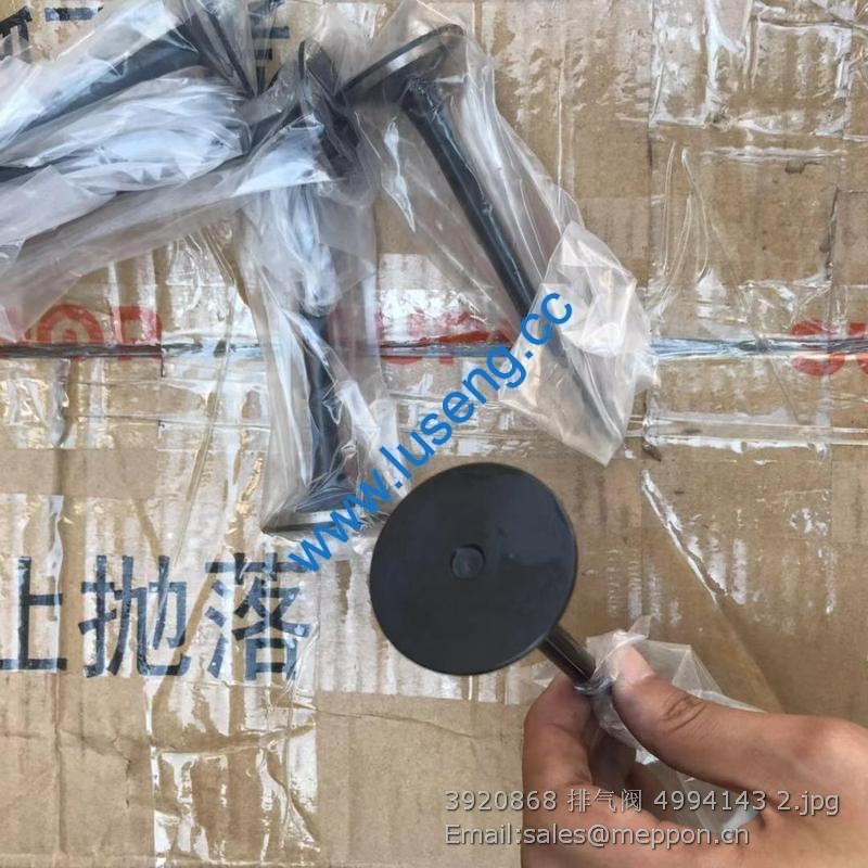 3920868 VALVE EXHAUST 4994143 SP109547 4110000555120 860109658 ...