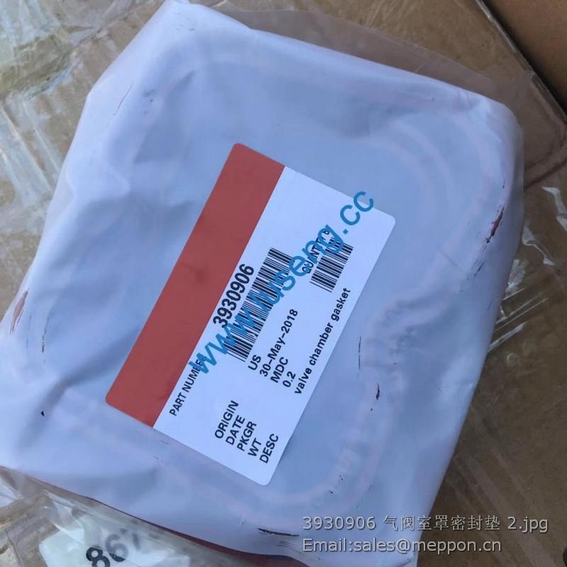 3930906 Valve Cover Gasket 4110000555139 SP109565 W010210050 860118934 ...