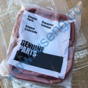 3930906 Valve Cover Gasket 4110000555139 SP109565 W010210050 860118934 ...