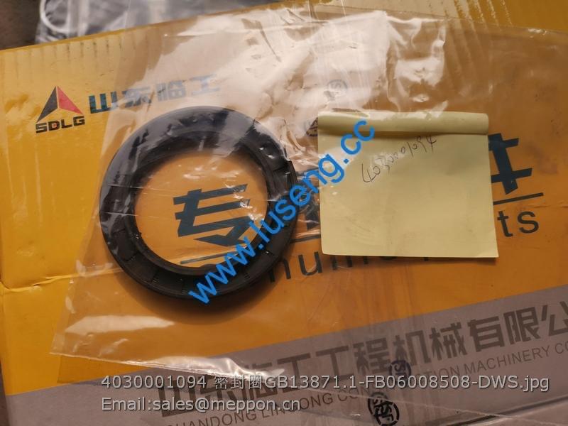 4030001094 SEAL RING SDLG GB13871.1-FB06008508-DWS – Luseng Co., Ltd