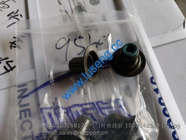 4110003268176 VALVE SEAL 1000549569 – Luseng Co., Ltd