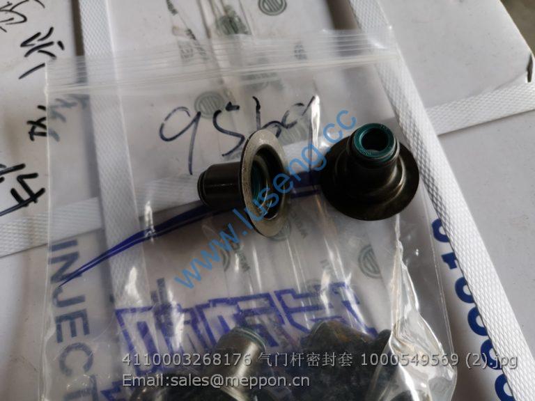 4110003268176 VALVE SEAL 1000549569 – Luseng Co., Ltd