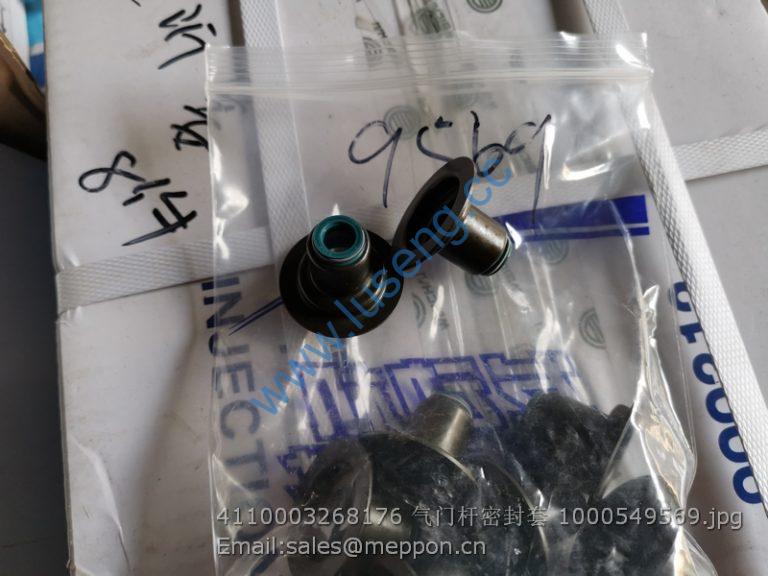 4110003268176 VALVE SEAL 1000549569 – Luseng Co., Ltd