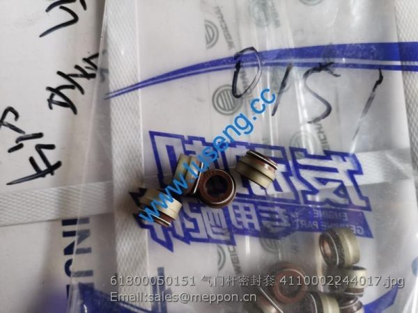 61800050151 WEICHAI VALVE SEAL 4110002244017 – Luseng Co., Ltd