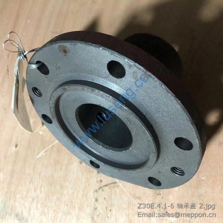 Z30E.4.1-6 Cover changlin – Luseng Co., Ltd