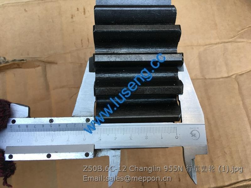 Z50B.6C-12 Changlin 955N PLANET GEAR – Luseng Co., Ltd