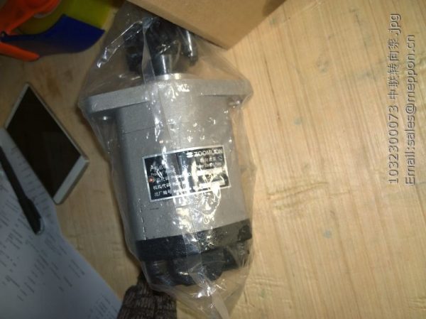1032300073 ZOOMLION STEERING PUMP – Luseng Co., Ltd