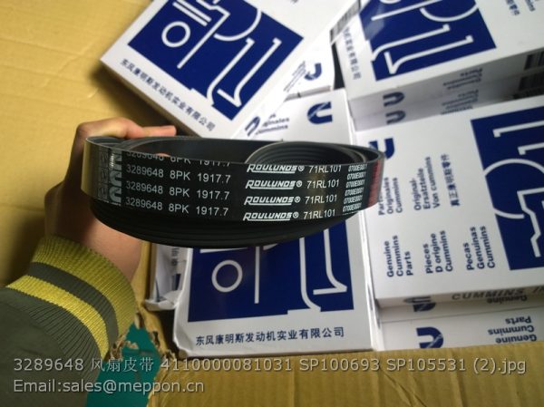 3289648 FAN BELT 4110000081031 SP100693 SP105531 – Luseng Co., Ltd