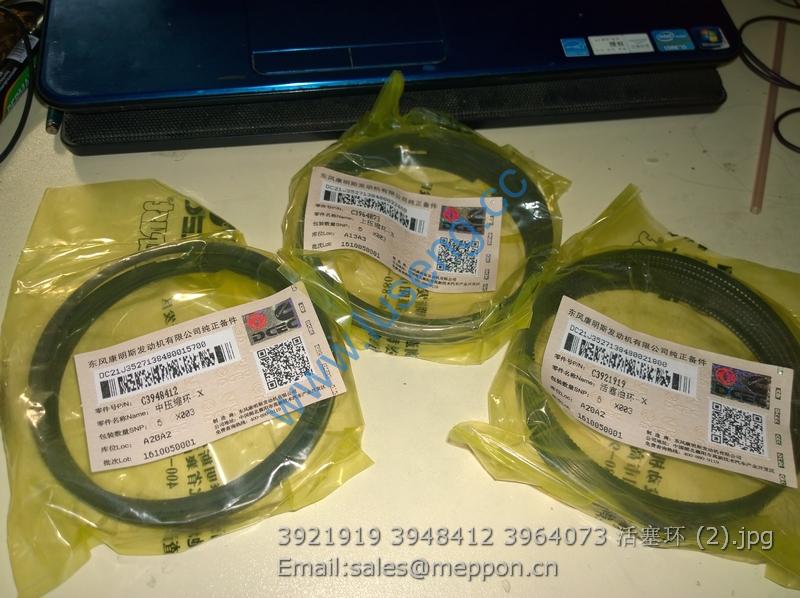 3921919 3948412 3964073 PISTON RING CUMMINS – Luseng Co., Ltd