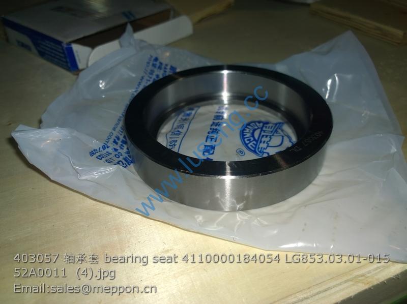 403057 bearing seat 4110000184054 LG853.03.01-015 52A0011 – Luseng Co., Ltd
