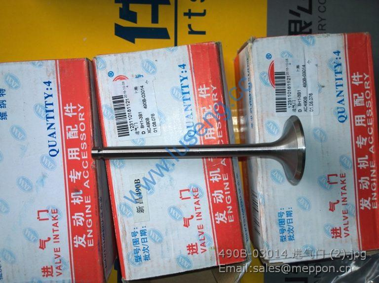 490B-03014 valve in xinchai – Luseng Co., Ltd