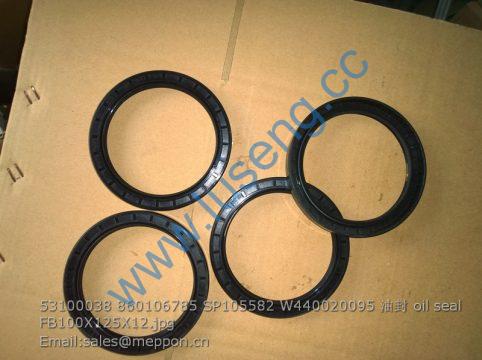 53100038 860106785 SP105582 W440020095 oil seal FB100X125X12 – Luseng ...