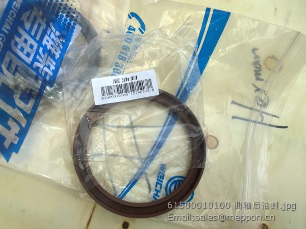 61500010100 WEICHAI OIL SEAL – Luseng Co., Ltd