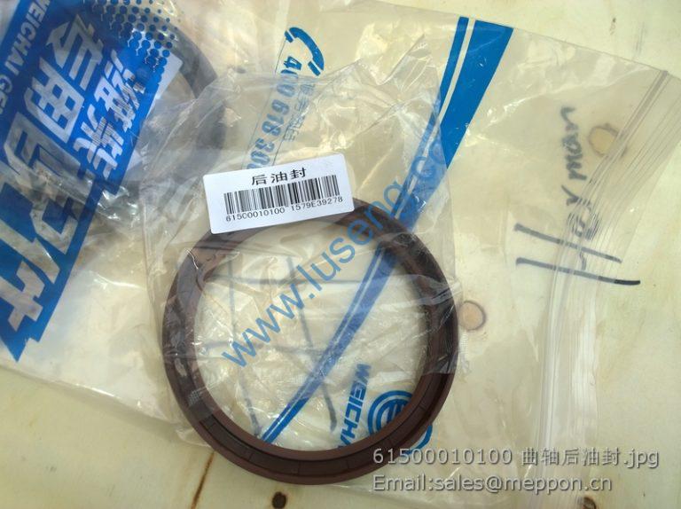 61500010100 WEICHAI OIL SEAL – Luseng Co., Ltd
